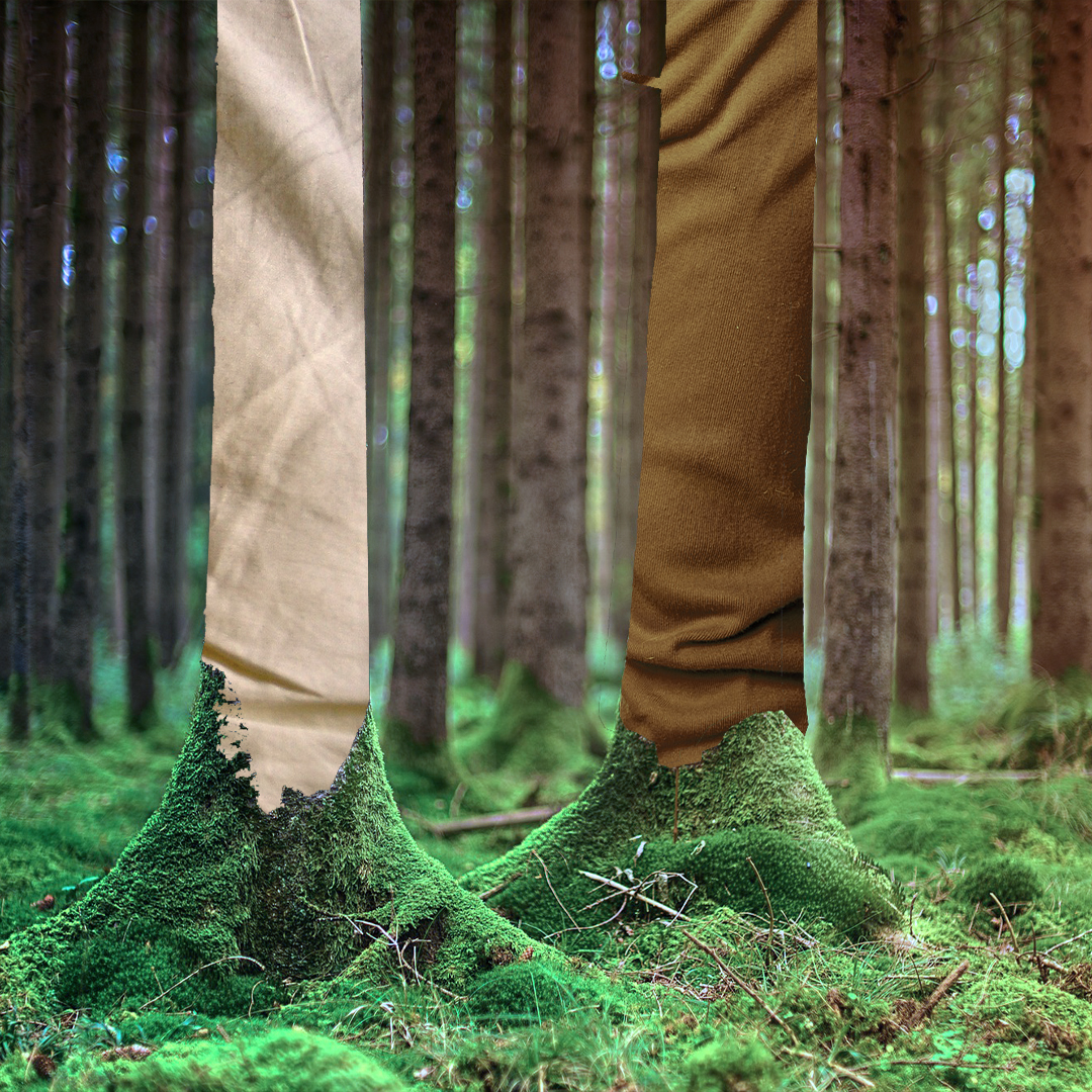 What Kind of Clothes Are Made From Trees? - re-think.nu